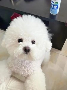 How To Say Yes In Chinese? - Native Chinese