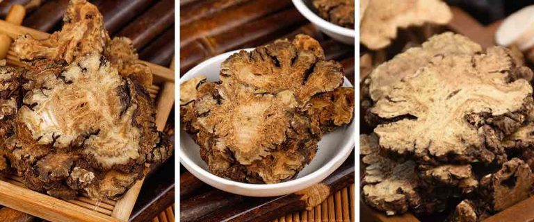 Chuan Xiong - Chuan Xiong Chinese Herb For Sale - Native Chinese