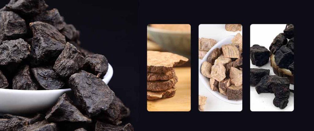 He Shou Wu - Bán thảo mộc Trung Quốc He Shou Wu - Người bản địa Trung Quốc