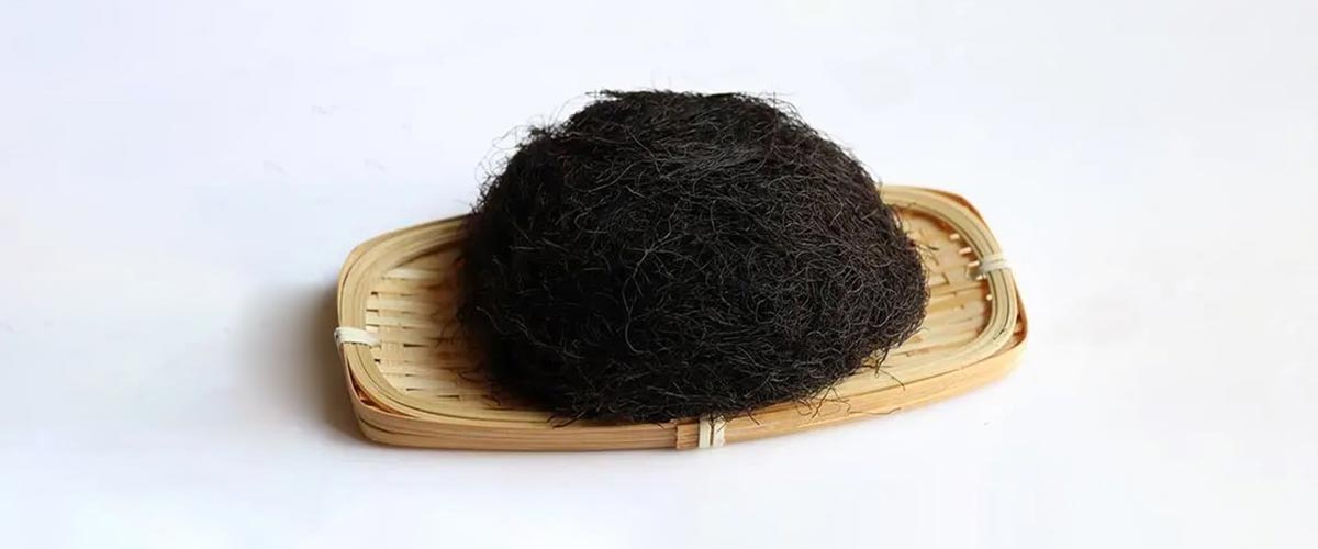 Fa Cai Facai Black Moss Nostoc Flagelliforme For Sale Native Chinese Fa Cai Facai Black Moss Nostoc Flagelliforme For Sale Native Chinese