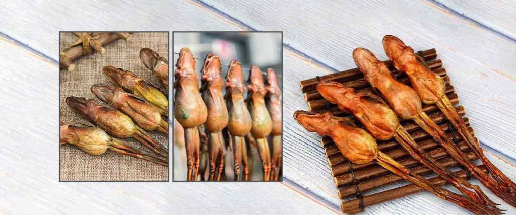 Chan Chu, Chanchu, Ha Ma, Hama, Chan Chu 개구리 매물 - 중국어 원어민