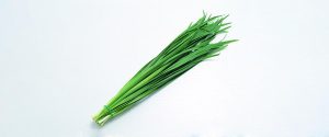 Jiu Cai - Jiucai - Jiu Bai Cai - Jiu Chai - Cai Jiu - Jiu Cai Recipe ...