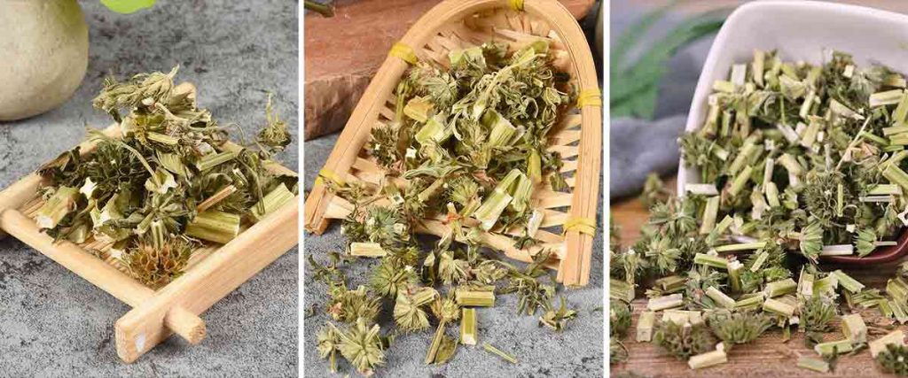 판매용 Yi Mu Cao, Yimucao & Motherwort - 중국어 원어민