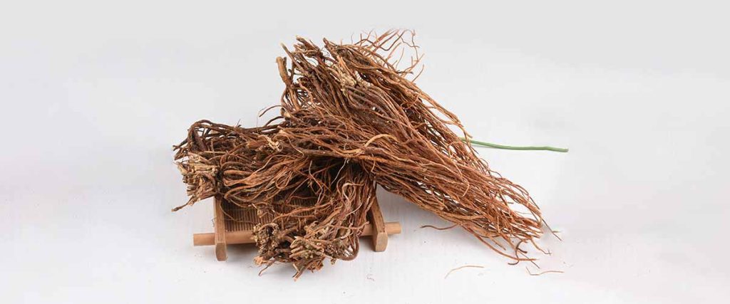 Long Dan, Longdan & Gentiana scabra For Sale - Native Chinese