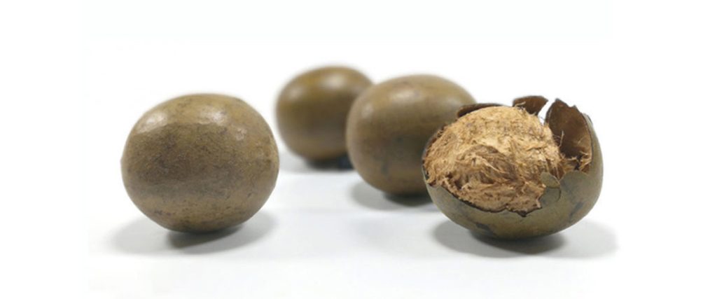 Luo Han Guo, Luohanguo y Siraitia grosvenorii en venta - Chino nativo