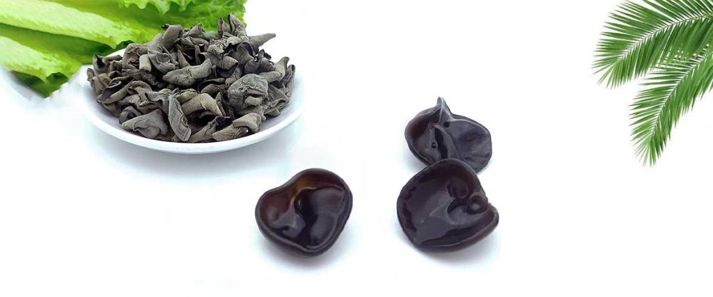 Mu Er - Muer - Bai Mu Er - Hei Mu Er - Pai Mu Er Wholesaler - Native ...