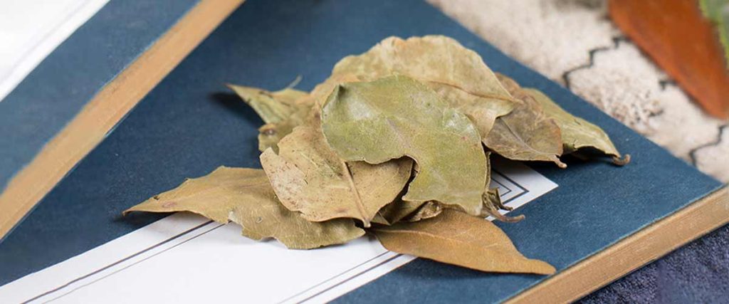 Yin Yu - Yinyu - Yu Yin - Yin Yu Herb - Yinyu Herb na predaj - pôvodná ...