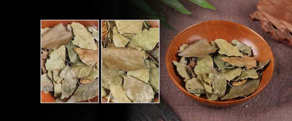 Yin Yu - Yinyu - Yu Yin - Yin Yu Herb - Yinyu Herb na predaj - pôvodná ...