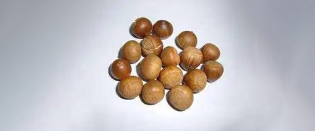 Zhu Zi, Zhuzi, Cranberry & Cranberries fruit For Sale - Native Chinese