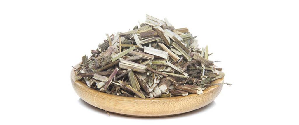 Jing Jie, Jingjie, Schizonepeta & Schizonepeta Tenuifolia - Native Chinese